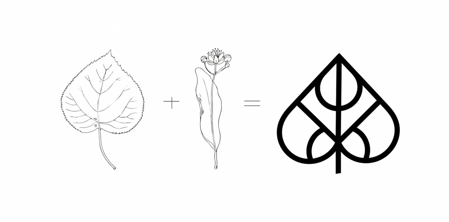 Lípa Logo and The Visual Identity - hany zackova